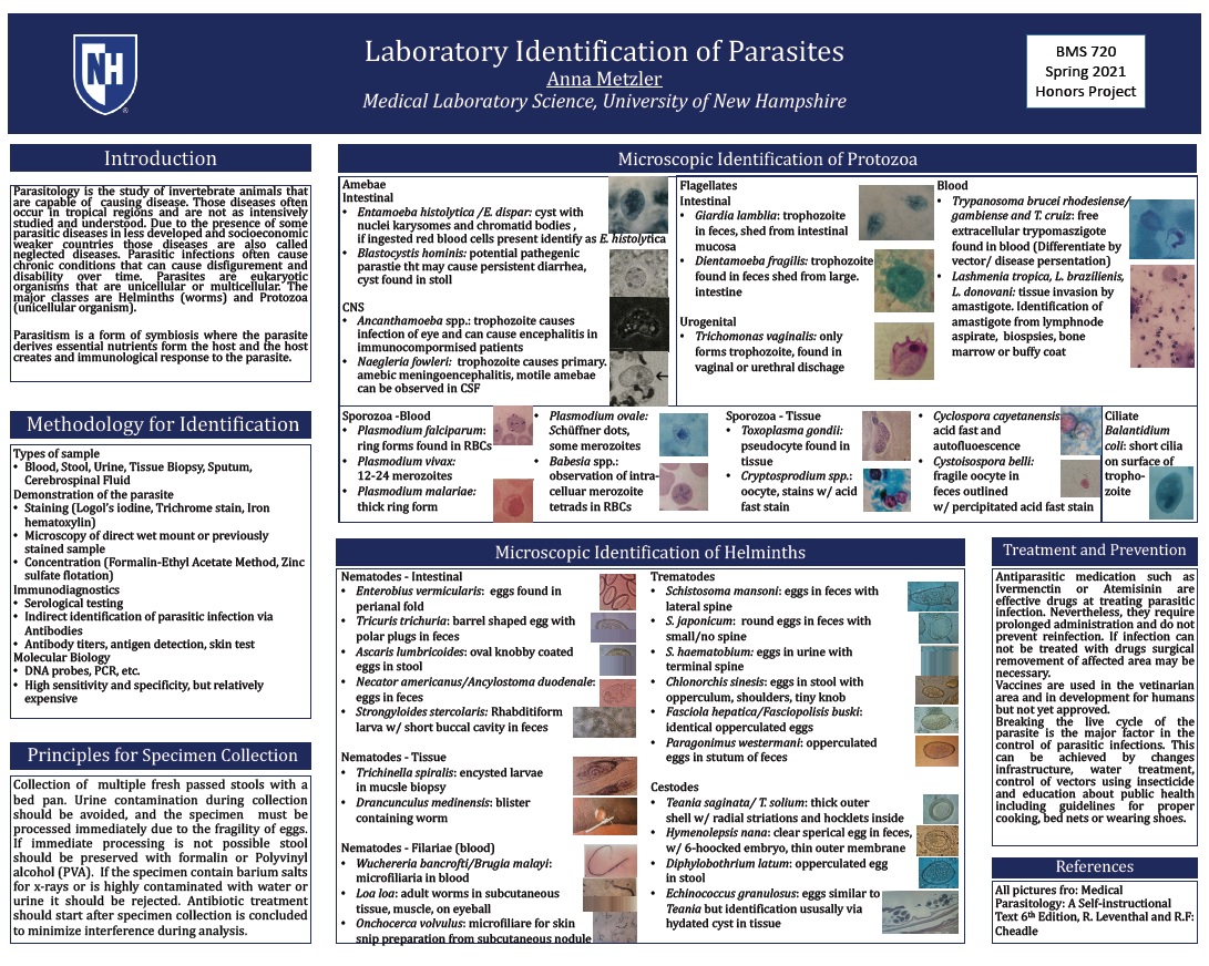 Microscopic Identification of Parasites – Parasites and Us